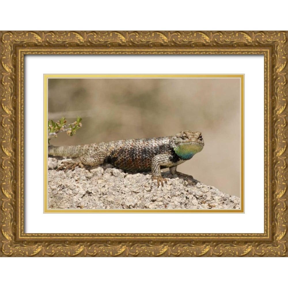 Welling, Dave 24x18 Gold Ornate Wood Framed with Double Matting Museum ...