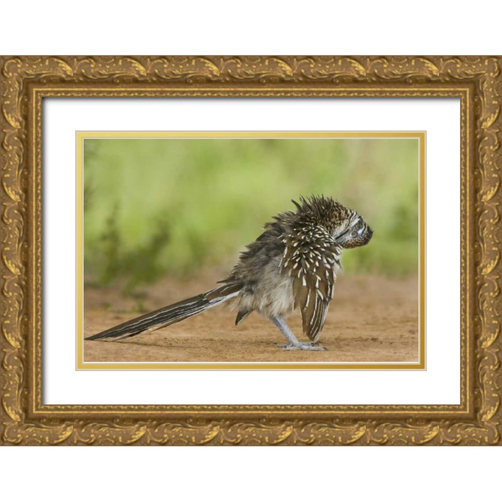 Welling, Dave 32x23 Gold Ornate Wood Framed with Double Matting Museum ...