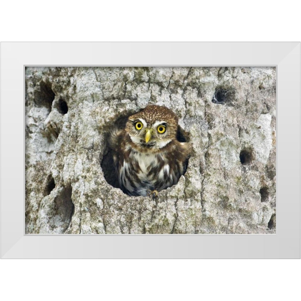 Welling, Dave 32x23 White Modern Wood Framed Museum Art Print Titled ...