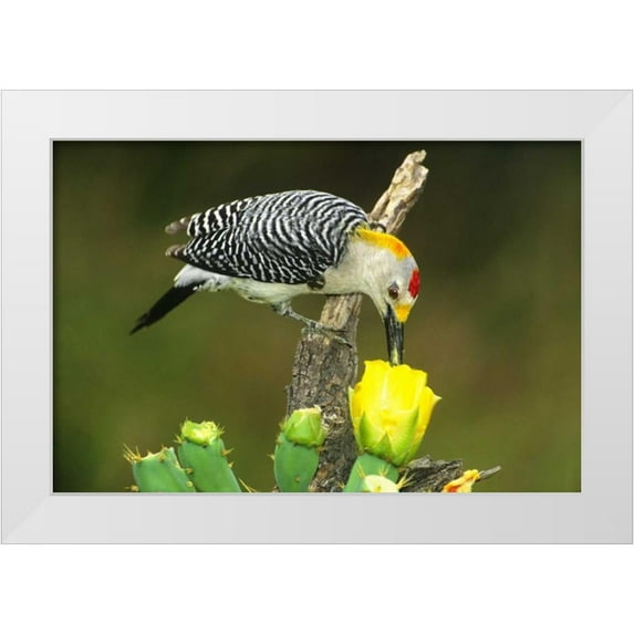 Welling, Dave 32x23 White Modern Wood Framed Museum Art Print Titled ...