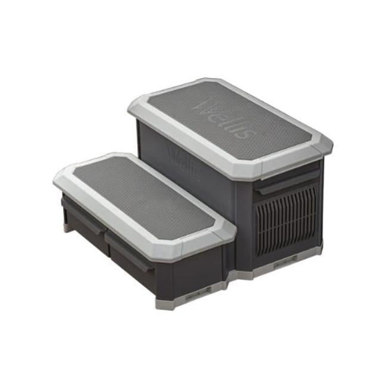 Wellis WE00143-1 Smart Step with Electronics - Walmart.com