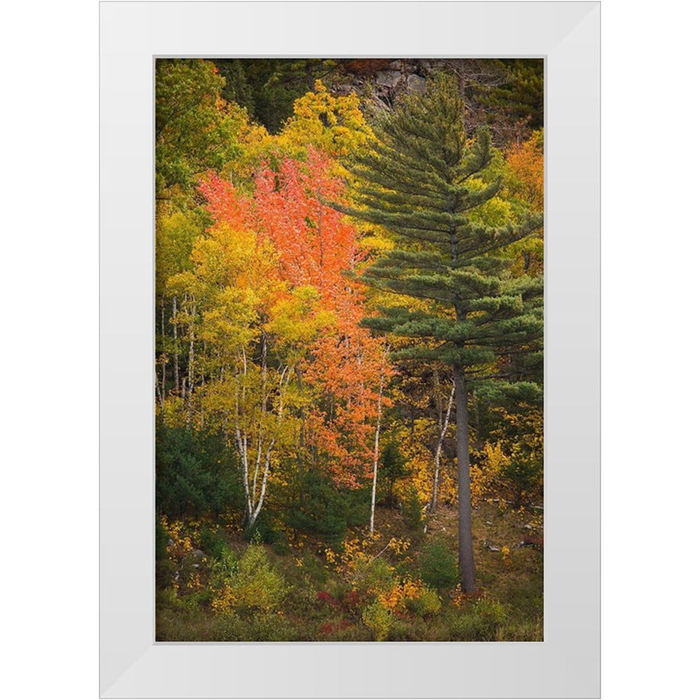 Wells, Joanne 11x14 White Modern Wood Framed Museum Art Print Titled ...