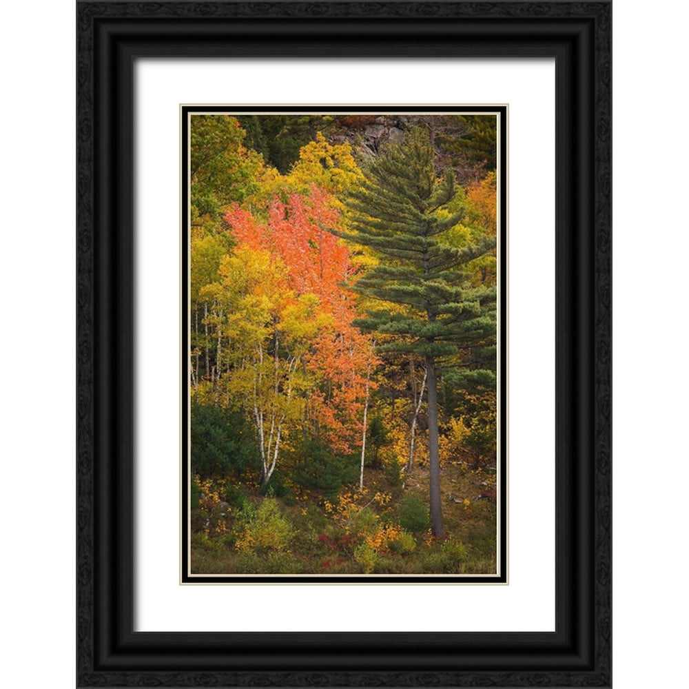 Wells, Joanne 13x18 Black Ornate Wood Framed with Double Matting Museum Art Print Titled - Maine ...