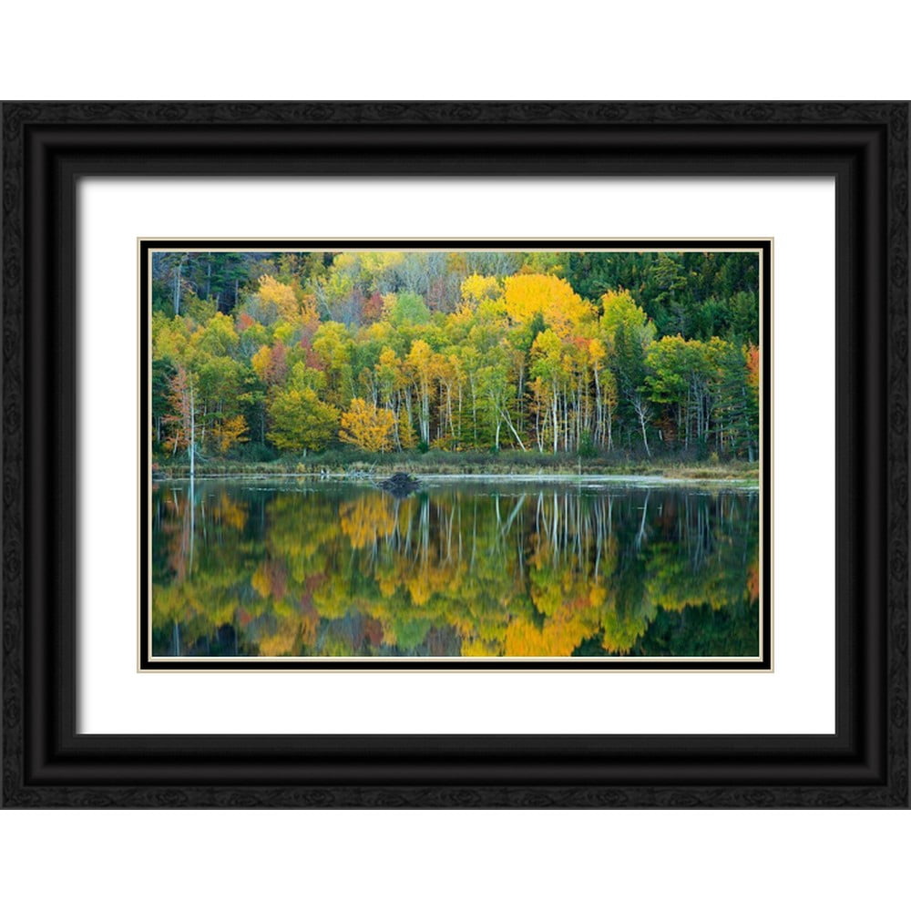 Wells, Joanne 14x11 Black Ornate Wood Framed with Double Matting Museum ...