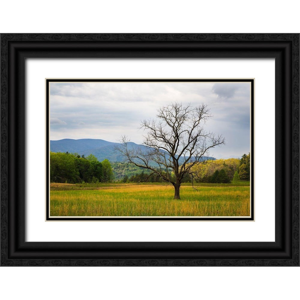 Wells, Joanne 14x11 Black Ornate Wood Framed with Double Matting Museum ...