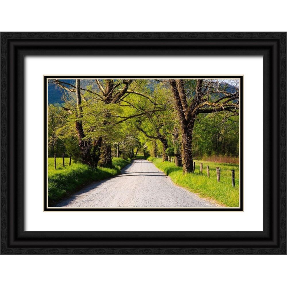 Wells, Joanne 14x11 Black Ornate Wood Framed with Double Matting Museum ...