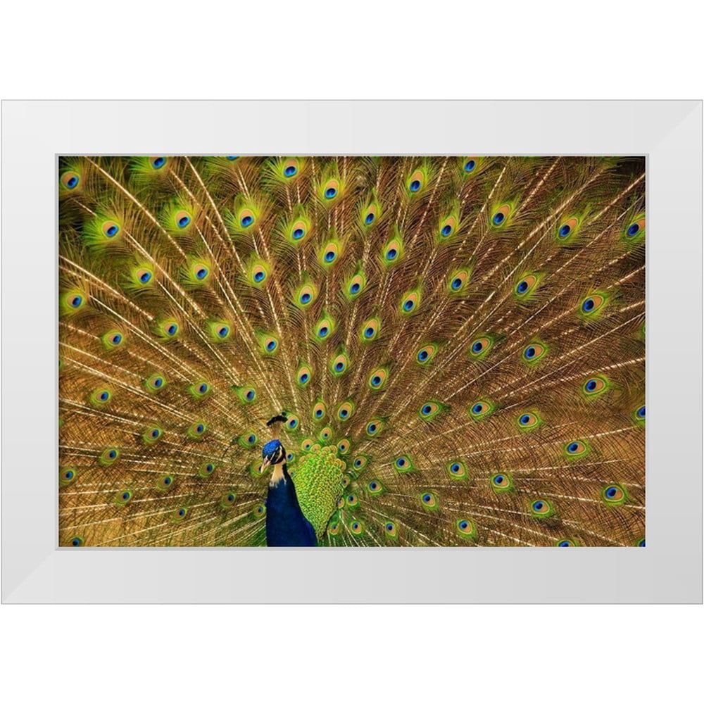 Wells, Joanne 14x11 White Modern Wood Framed Museum Art Print Titled ...