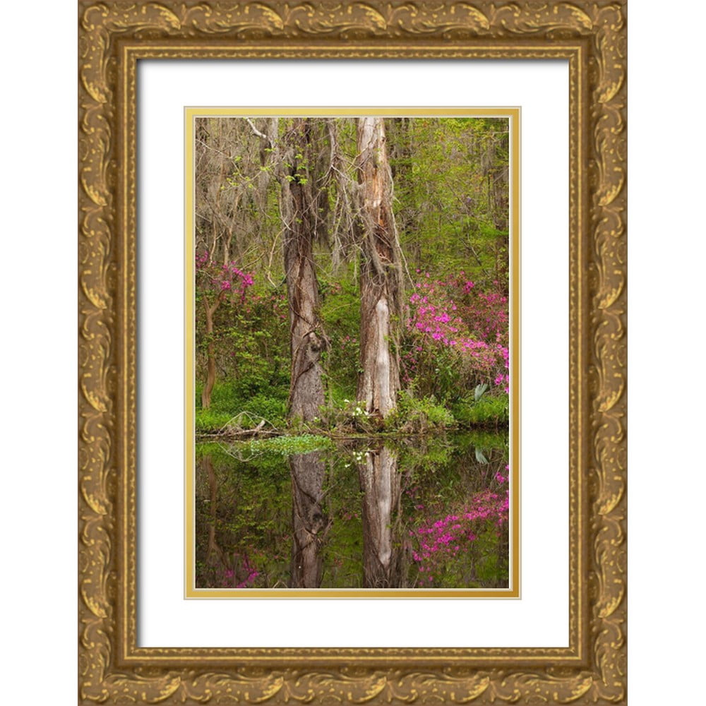 Wells, Joanne 17x24 Gold Ornate Wood Framed with Double Matting Museum ...