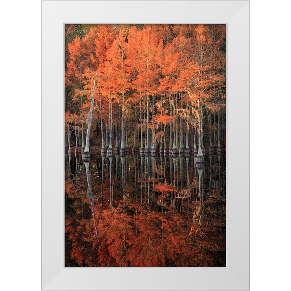 Wells, Joanne 17x24 White Modern Wood Framed Museum Art Print Titled ...
