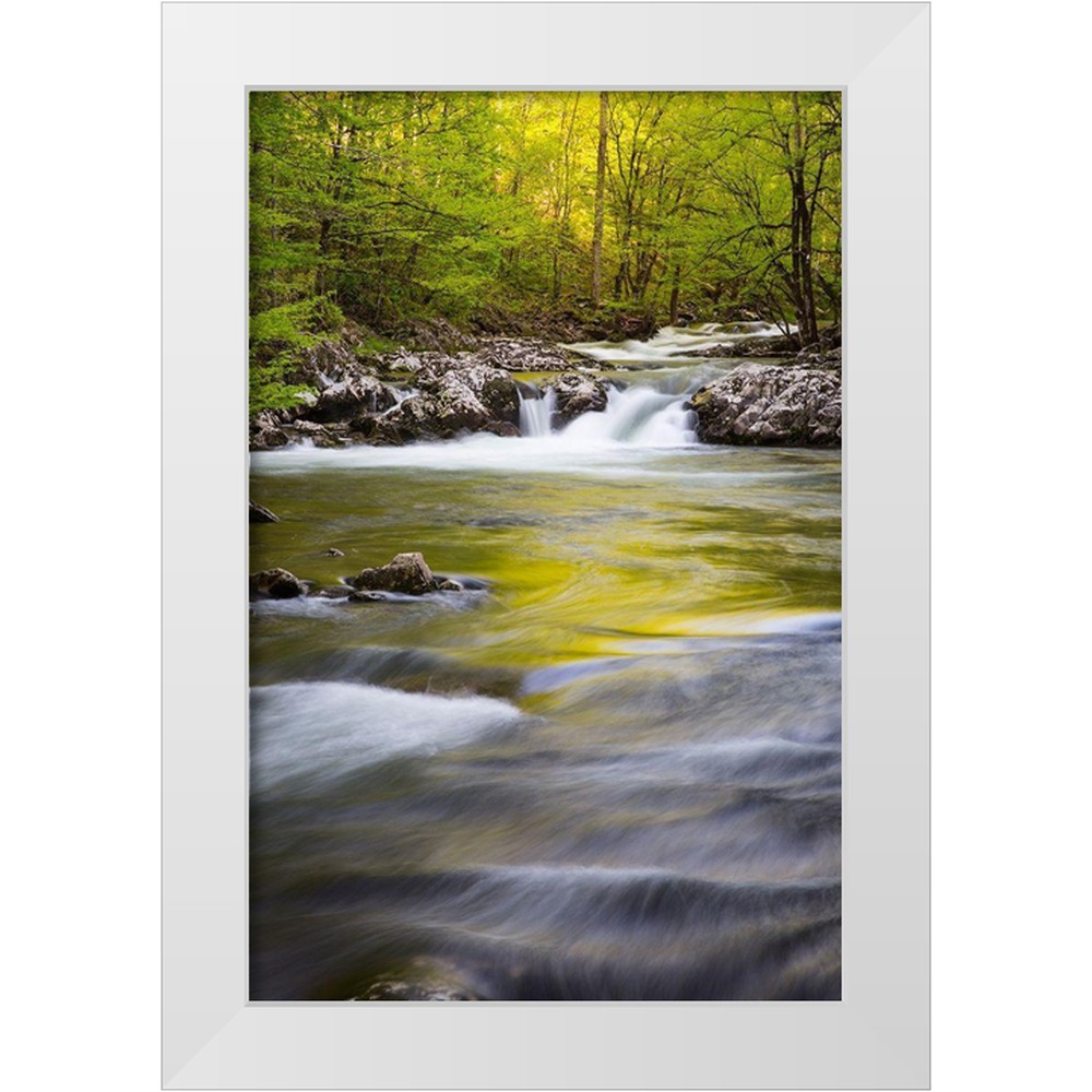 Wells, Joanne 17x24 White Modern Wood Framed Museum Art Print Titled ...