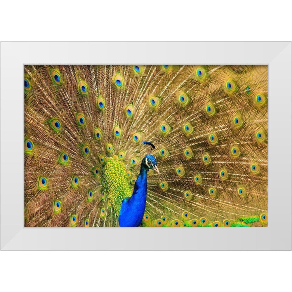 Wells, Joanne 18x13 White Modern Wood Framed Museum Art Print Titled ...