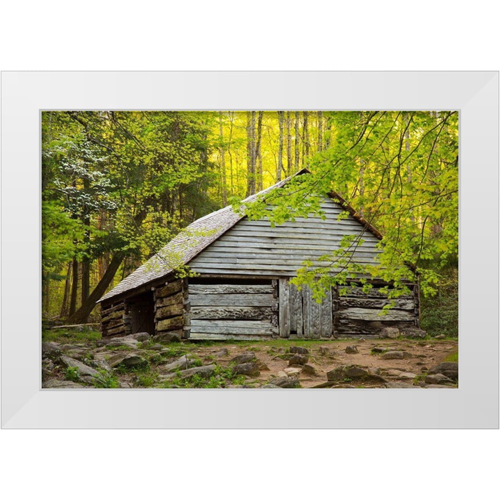 Wells, Joanne 18x13 White Modern Wood Framed Museum Art Print Titled ...