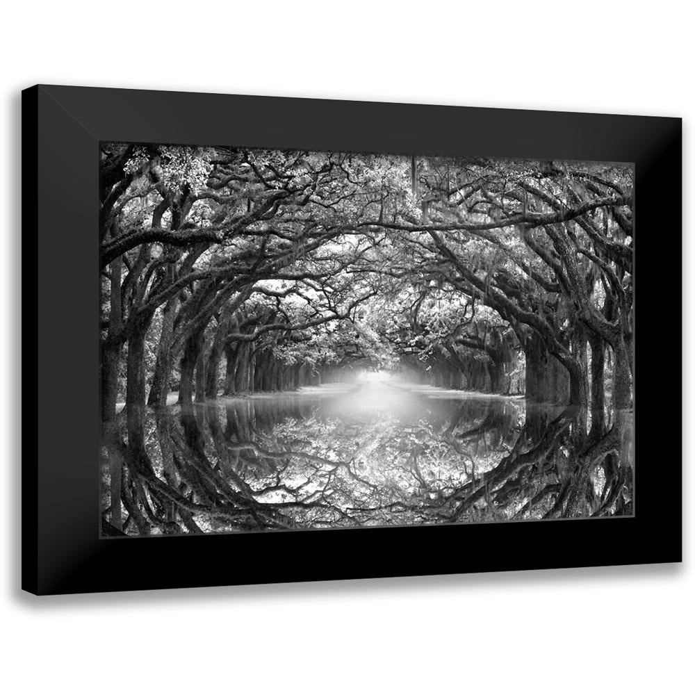 Wells, Joanne 18x15 Black Modern Framed Museum Art Print Titled - Oak ...