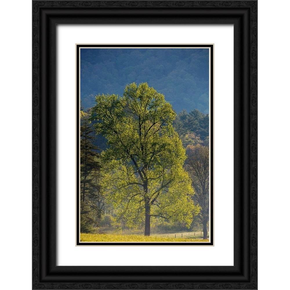 Wells, Joanne 23x32 Black Ornate Wood Framed with Double Matting Museum ...