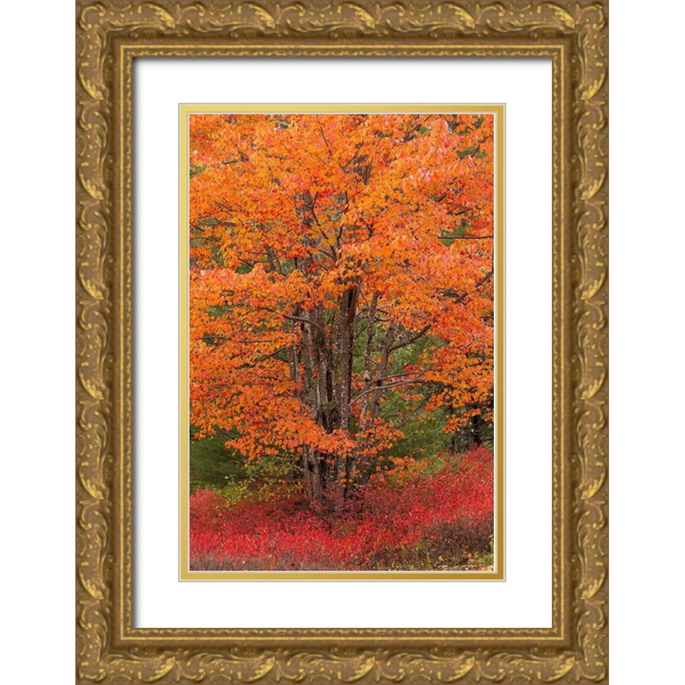Wells, Joanne 23x32 Gold Ornate Wood Framed with Double Matting Museum ...