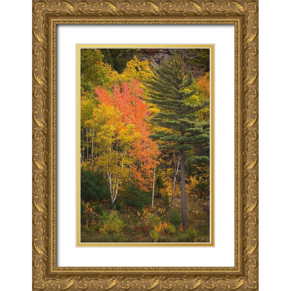 Wells, Joanne 23x32 Gold Ornate Wood Framed with Double Matting Museum ...