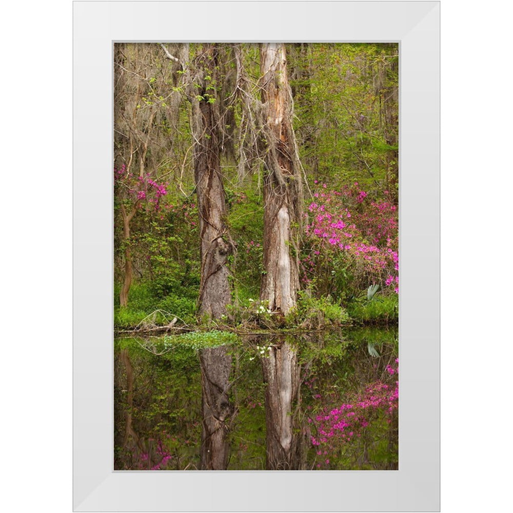 Wells, Joanne 23x32 White Modern Wood Framed Museum Art Print Titled ...
