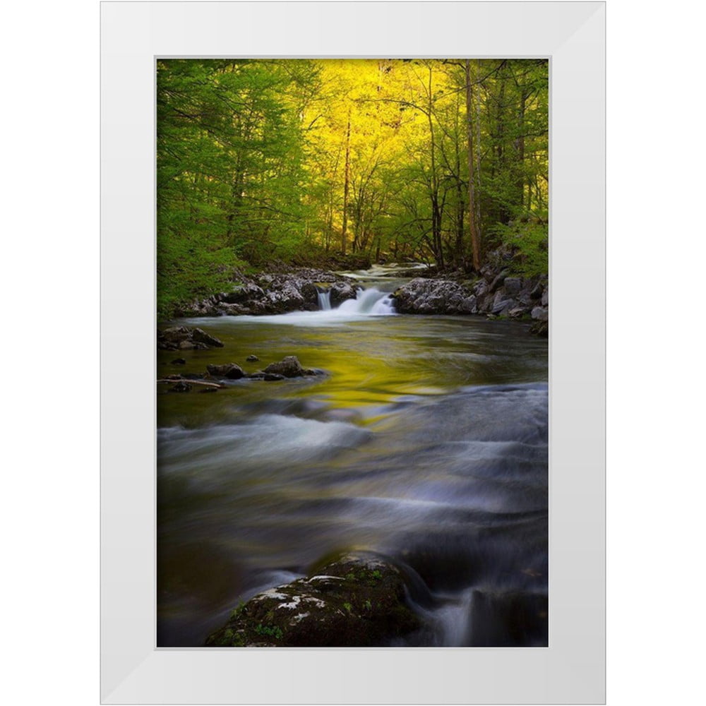 Wells, Joanne 23x32 White Modern Wood Framed Museum Art Print Titled ...