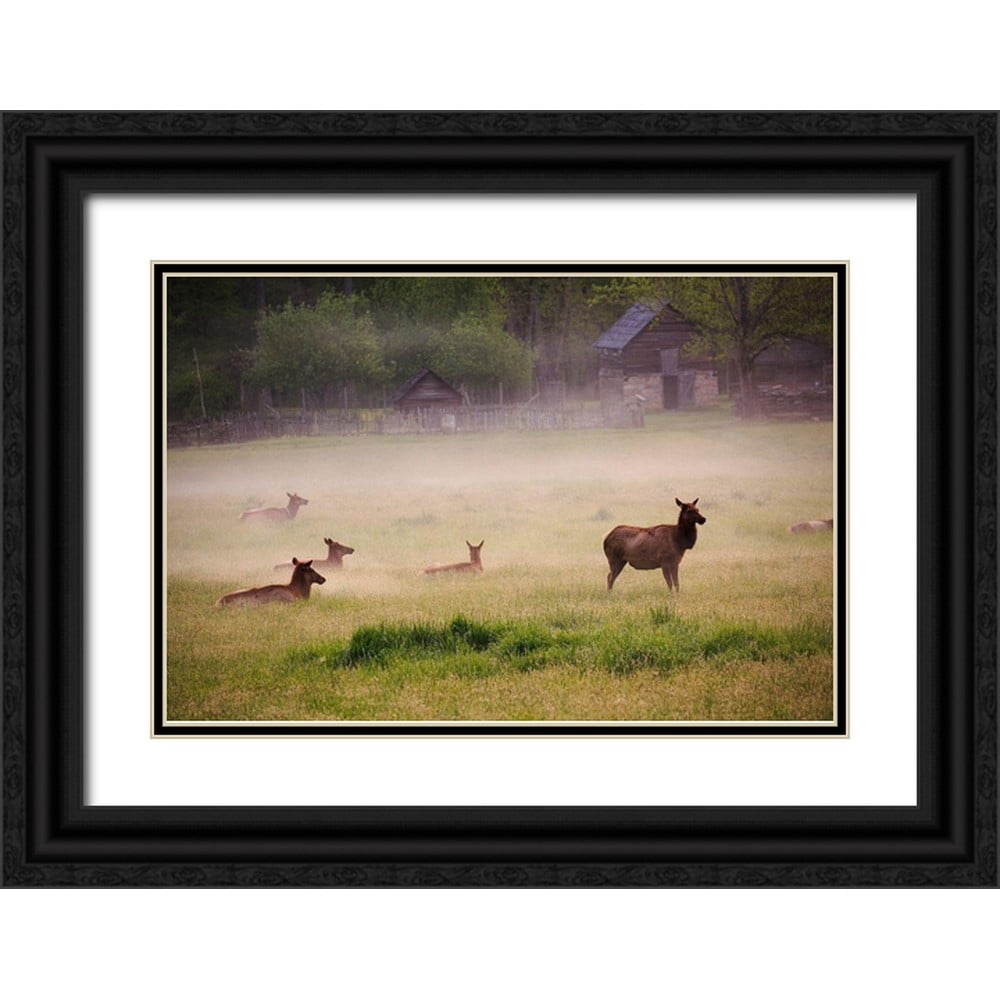 Wells, Joanne 24x17 Black Ornate Wood Framed with Double Matting Museum ...