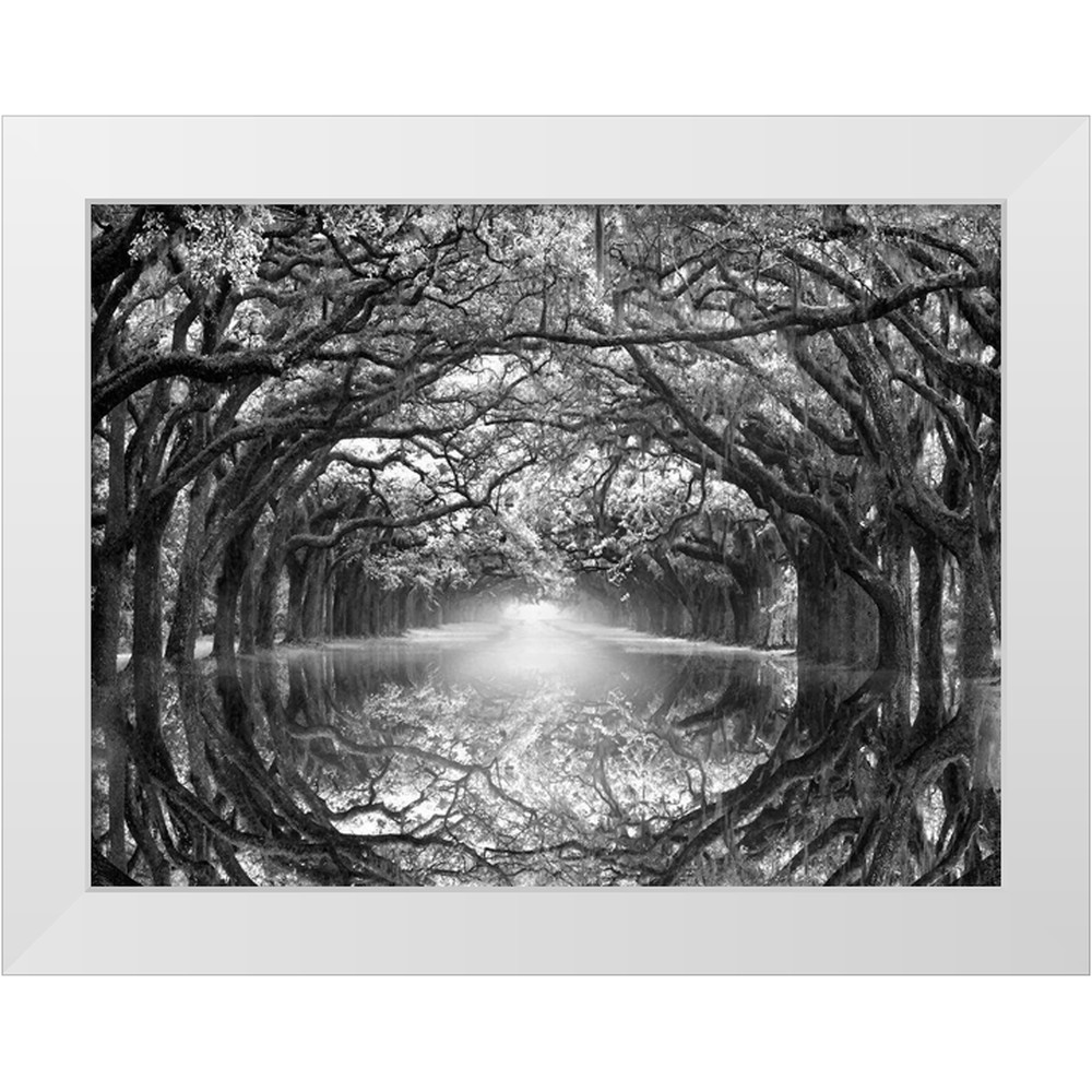 Wells, Joanne 32x25 White Modern Wood Framed Museum Art Print Titled ...