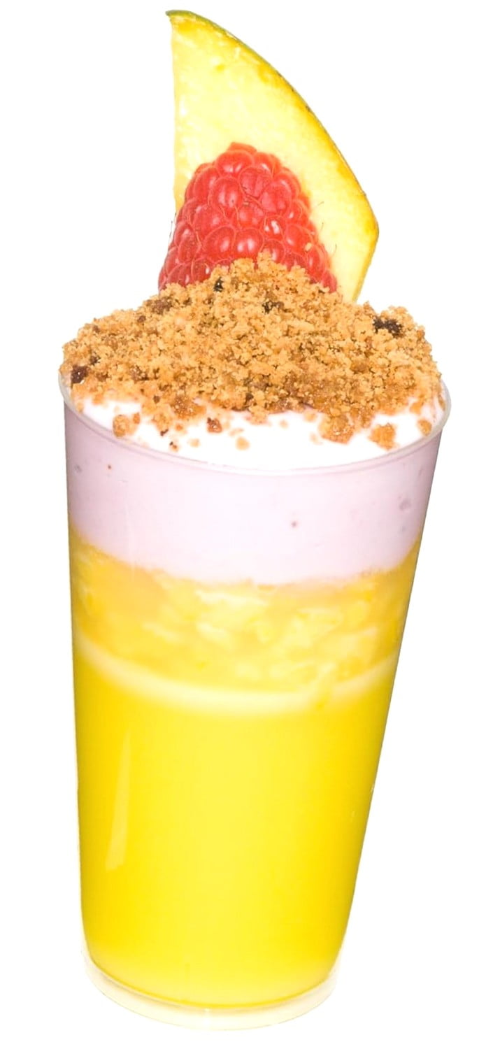 Wellsay 100 Count 3 oz Dessert Cups, Shooter Clear Plastic Parfait ...