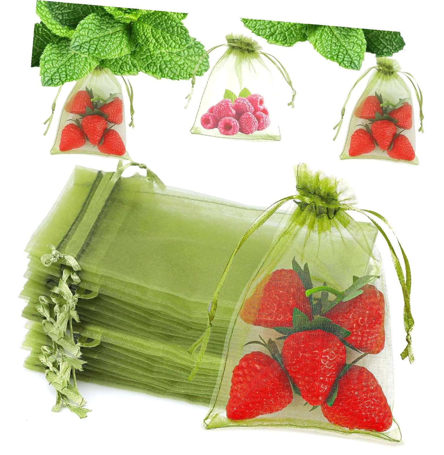 Wellsay 100Pcs 6 x 4 Inch Fruit Protection Netting Bags, Fruit Mesh ...