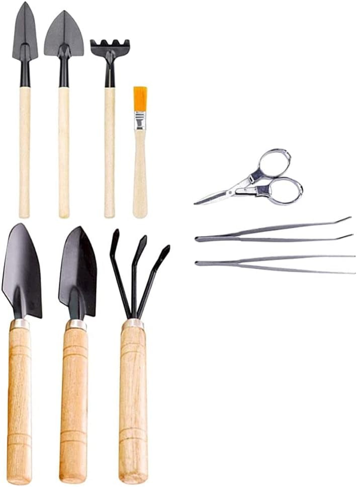 Wellsay 10pcs Planting Flower Arrangement Tool Succulent Planting Tool ...