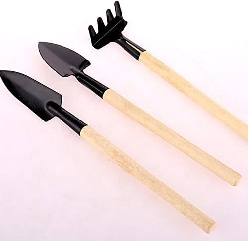 Wellsay 3Pcs Mini Succulent Planting Tools Wood Handle Gardening Spade ...