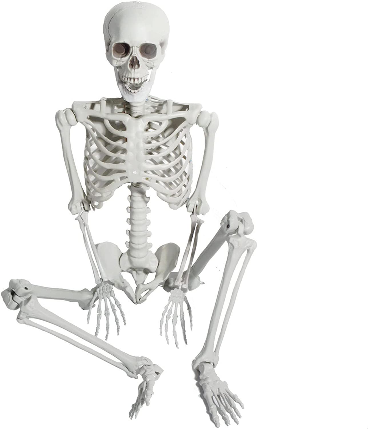 Wellsay 5.4ft/165cm Halloween Full Body Skeleton, Plastic Human ...