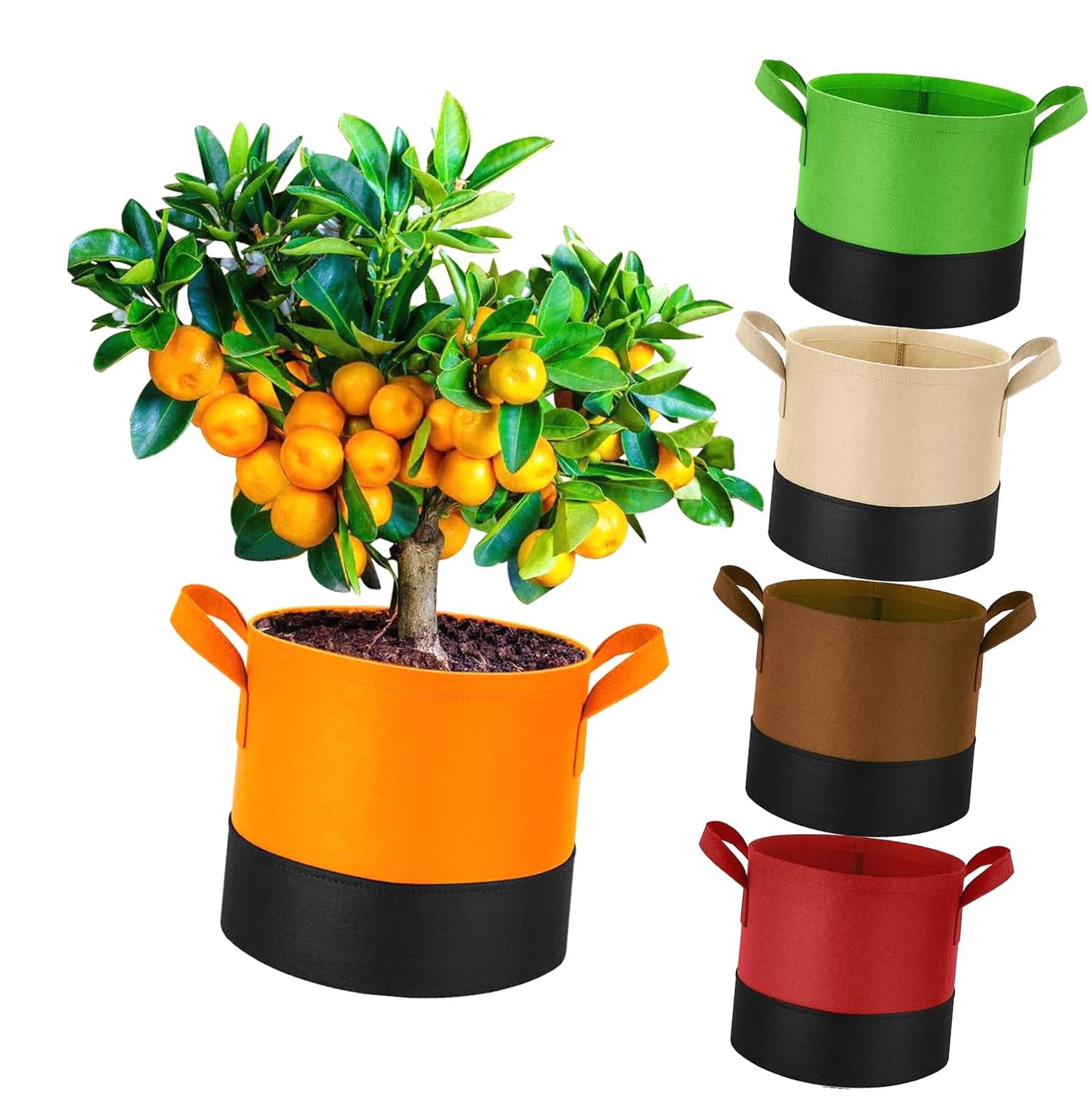 Wellsay 5 Pack 3 Gallon , 350G Heavy-Duty Fabric Pots with Handles ...