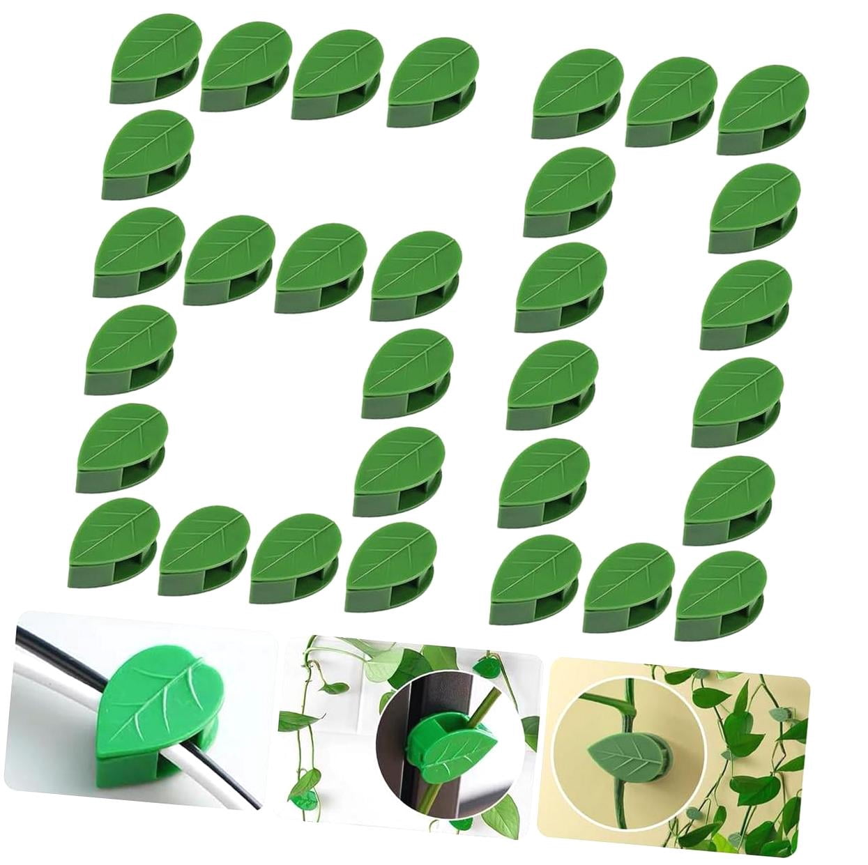 Wellsay 60 Pieces Plant Climbing Wall Fixture Clips Self-Adhesive Plant ...