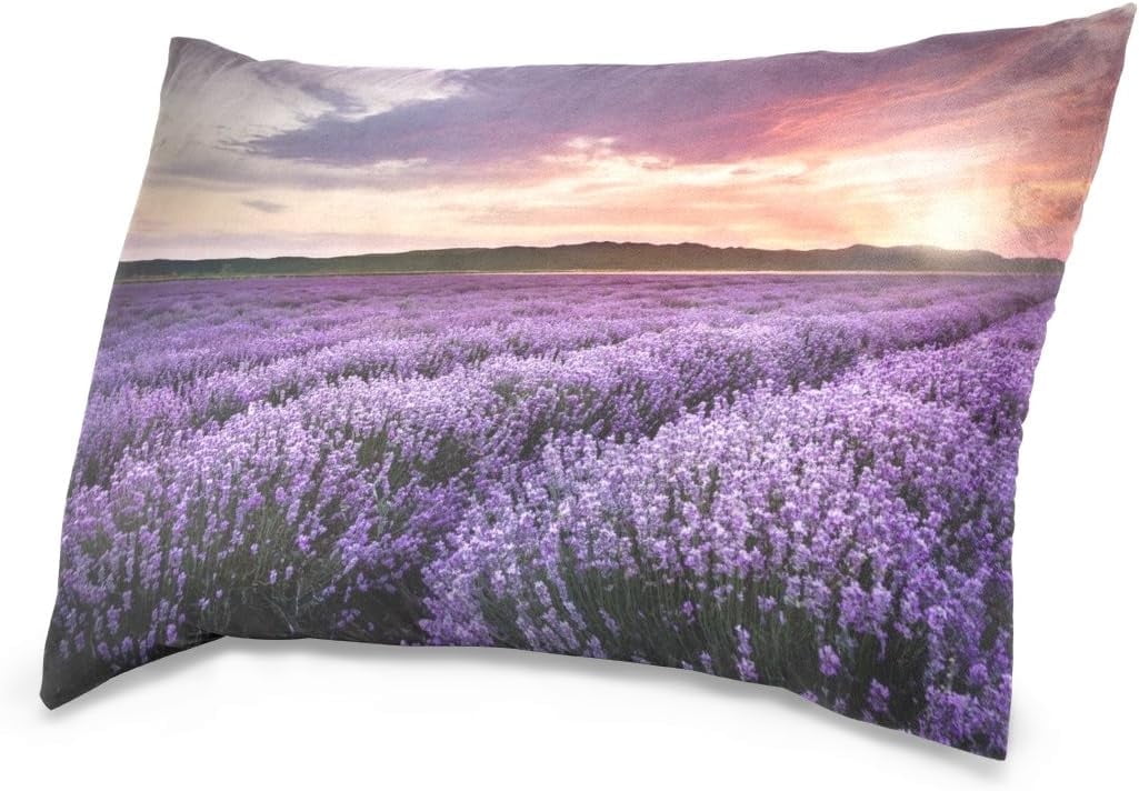 Wellsay Blooming Lavender Field Velvet Oblong Lumbar Plush Throw Pillow Cover/Shams Cushion Case ...