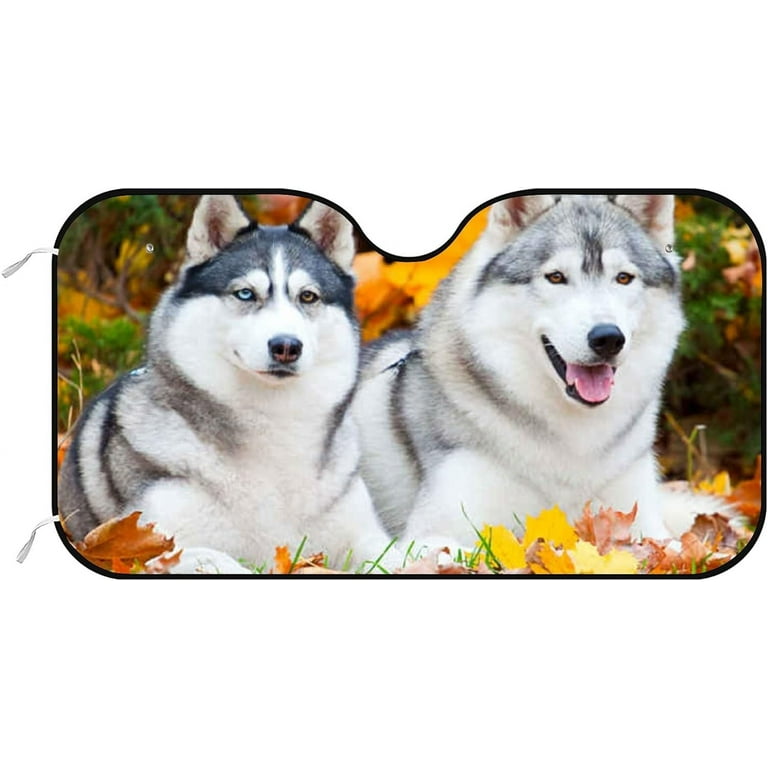 Wellsay Car Windshield Sunshade Blocks Sun Visor Protector Two Siberian Huskies Foldable Sun Shield Keep Vehicle Cool For Vehicle Car Truck SUV Van