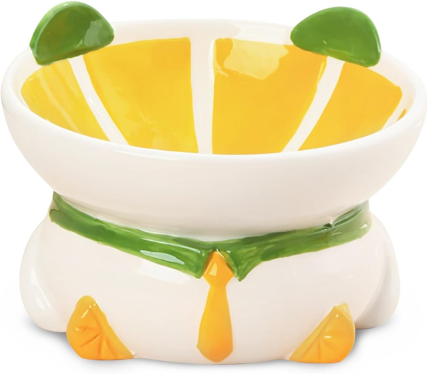 Wellsay Ceramic Raised Bowl, 15° Tilted Elevated Food Bowl, Raised Food ...