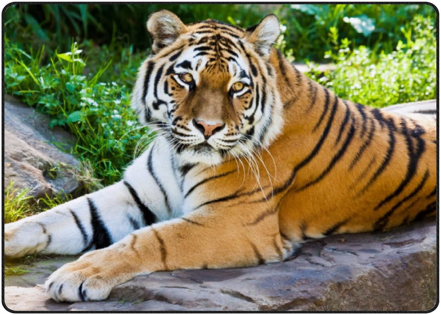 Wellsay Crawling Indoor Carpet Play Mat Siberian Tiger for Living Room ...