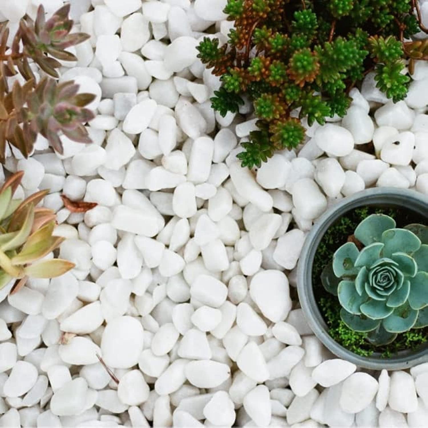 Wellsay Decorative River Pebbles Mini sh Tank Gravels Terrarium Rocks ...