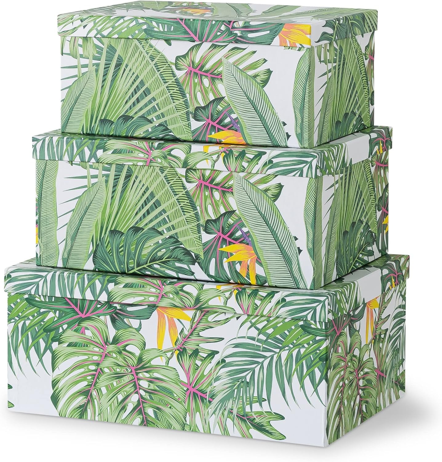 Wellsay Decorative Storage Cardboard Boxes with Lids | Tropical Breeze ...