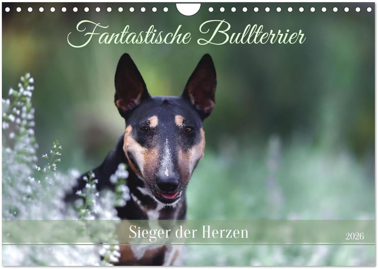 Wellsay Fantastic Terrier at Heart, US-Version (Wall Calendar 2026 DIN ...