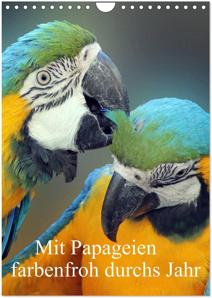Wellsay Featuring Parrots Throughout the Year, US Edition (Wall ...