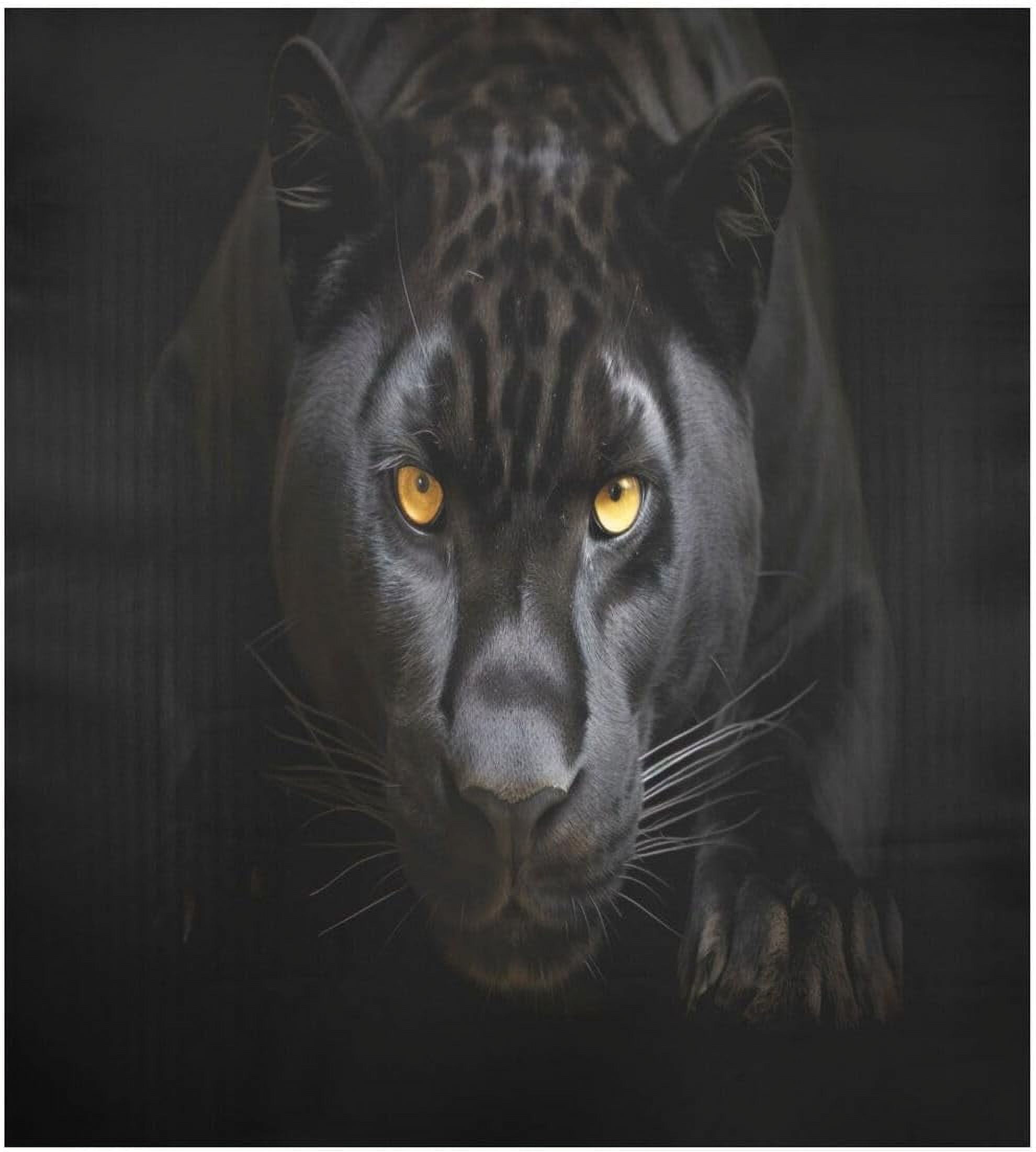 Wellsay Fierce Tiger Dishwasher Magnet Cover 23x26in, Reuseable ...