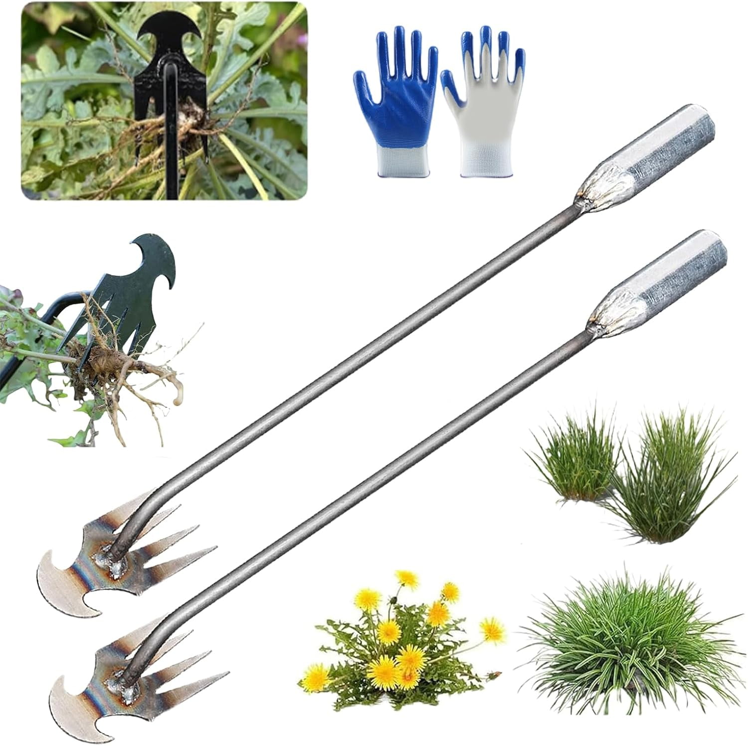 Wellsay Foxyle Weed Puller, 4 Tooth Dual pose Manual Weeder Tool with ...