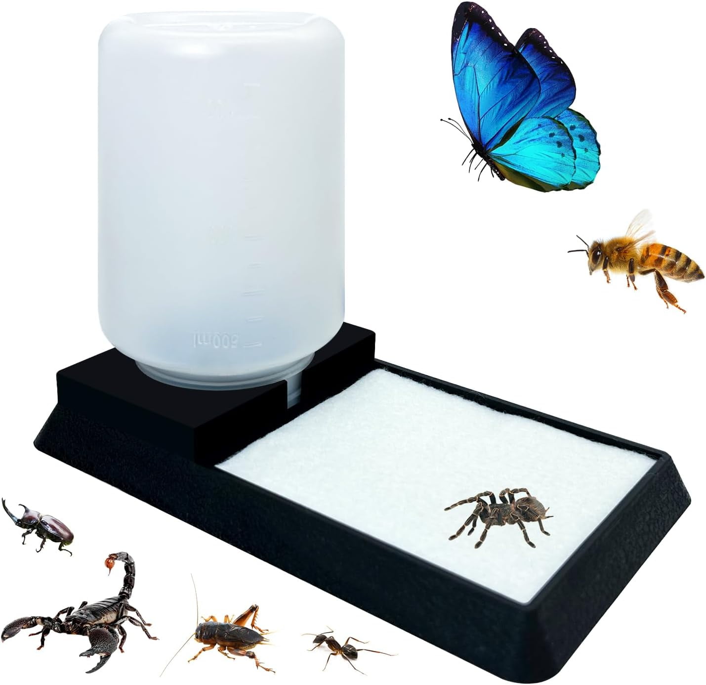 Wellsay Insect Water Feeder,Spider Water Dispenser,Bug Watering Station ...