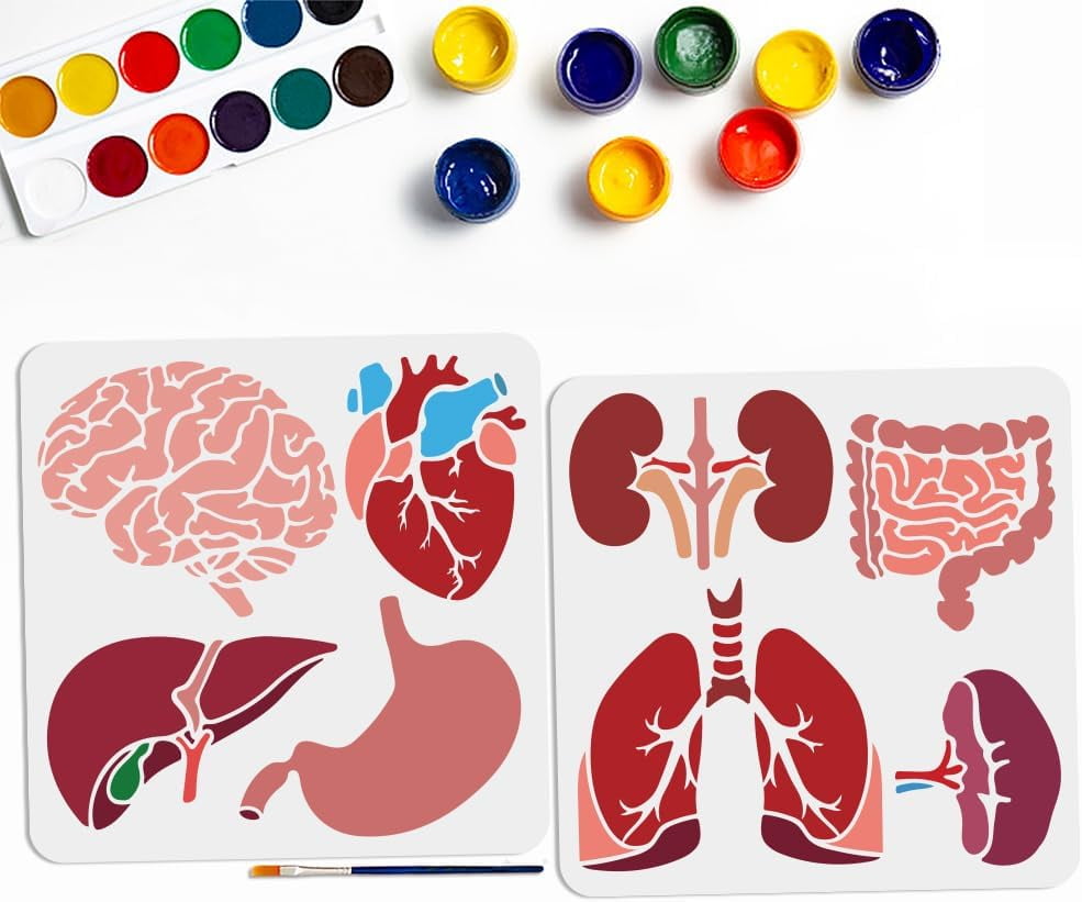 Wellsay MAOYDIY 8 Styles Internal Organs Stencil 11.8×11.8inch Heart ...