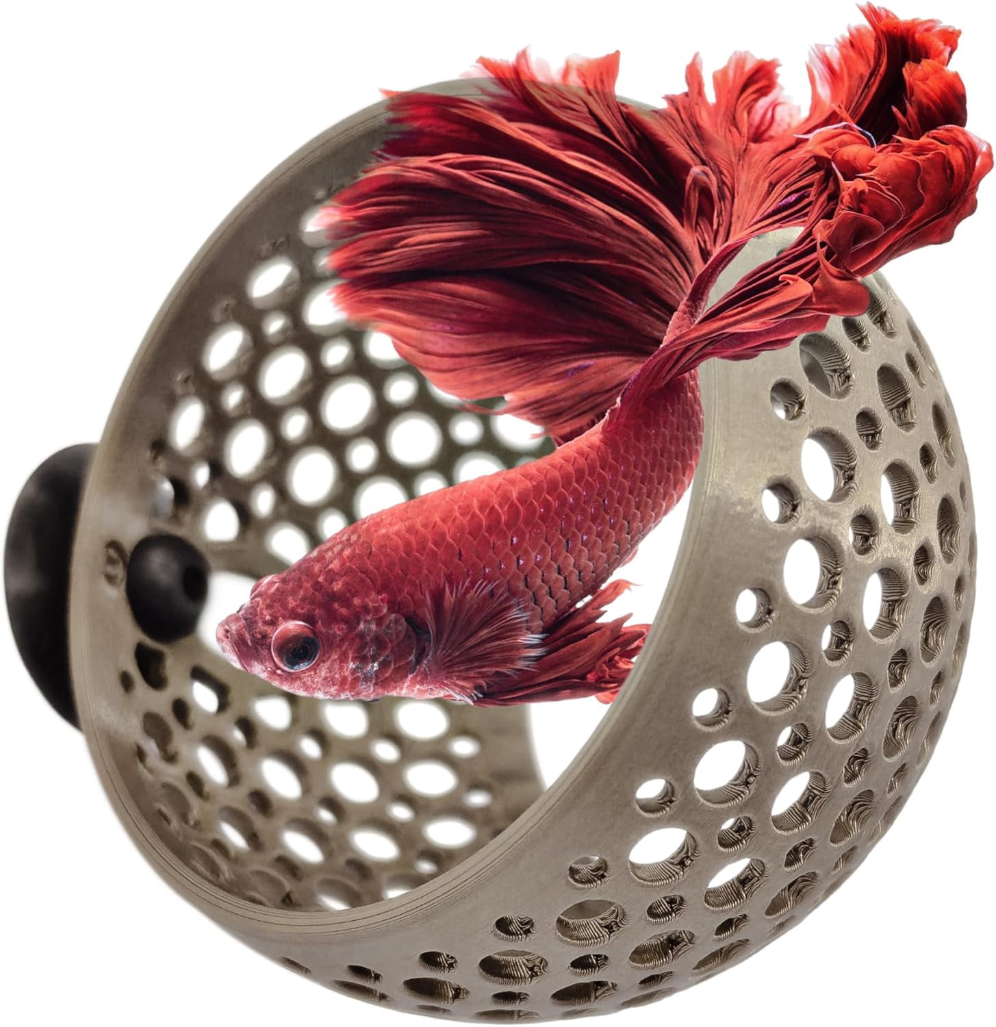Wellsay The Original Cave Lounge - Betta sh Tank Accessories, Swim ...