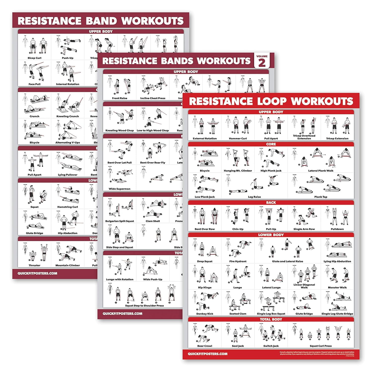 Wellsay Palace Learning 3 Pack: Resistance Bands Workouts Volume 1&2 ...