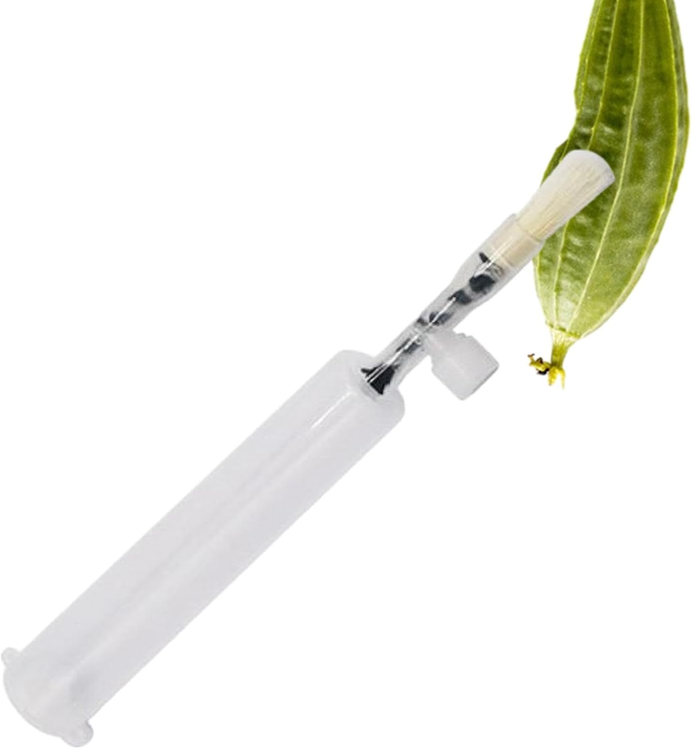 Wellsay Pollinator Tool,Pollen Brush for Plants - Pollinating Pen ...