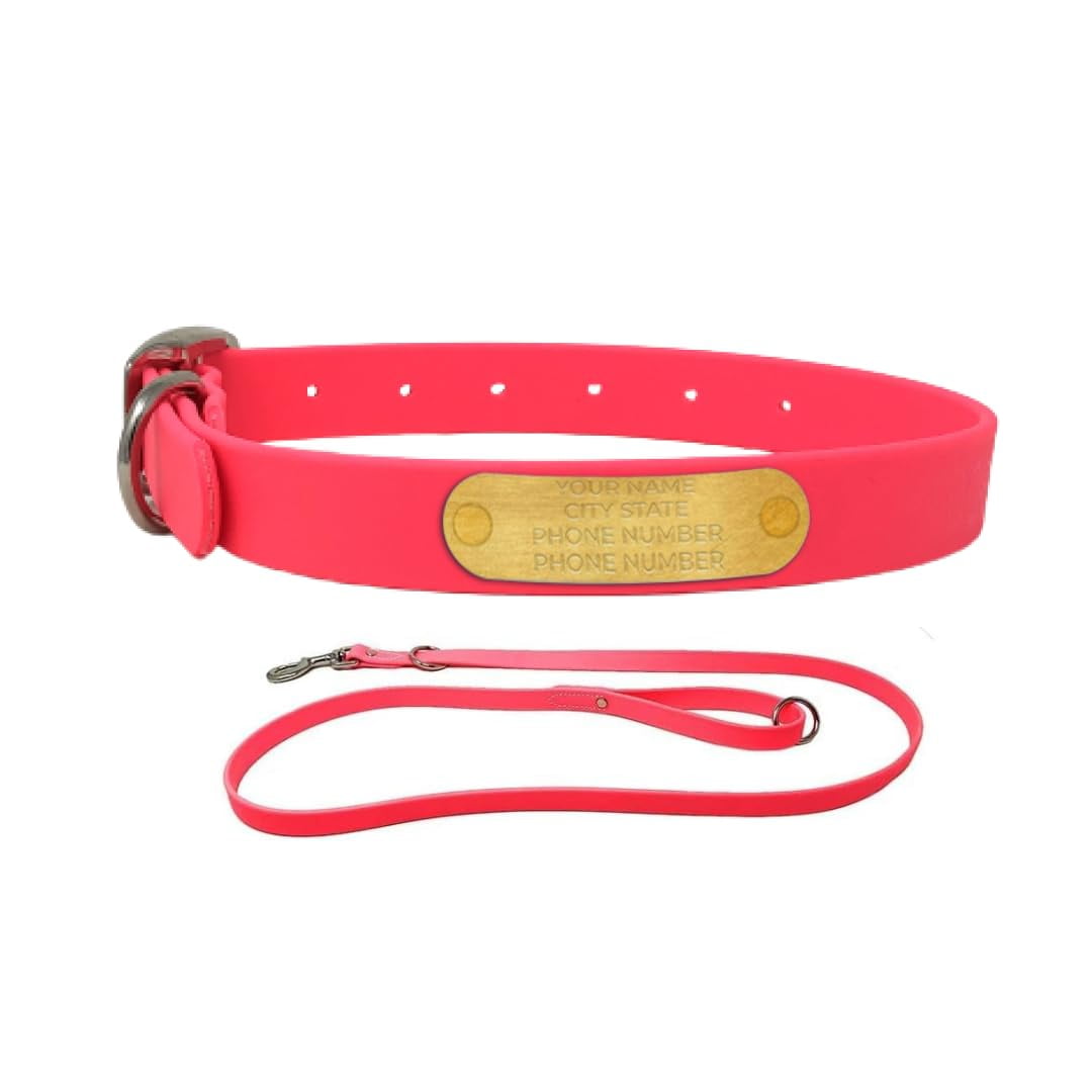 Wellsay Regal Dog ducts Medium Pink Waterof Dog Collars with Engraved ...