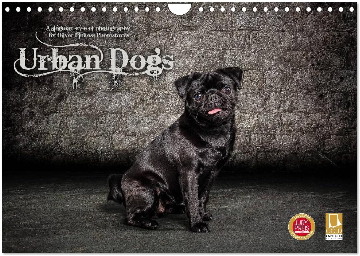 Wellsay Urban Dogs Different Kind of Calendar, US-Version (Wall ...
