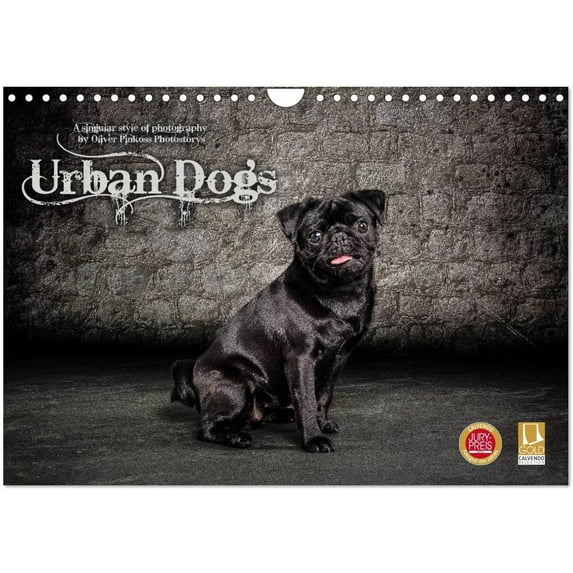 Wellsay Urban Dogs Different Kind of Calendar, US-Version (Wall ...