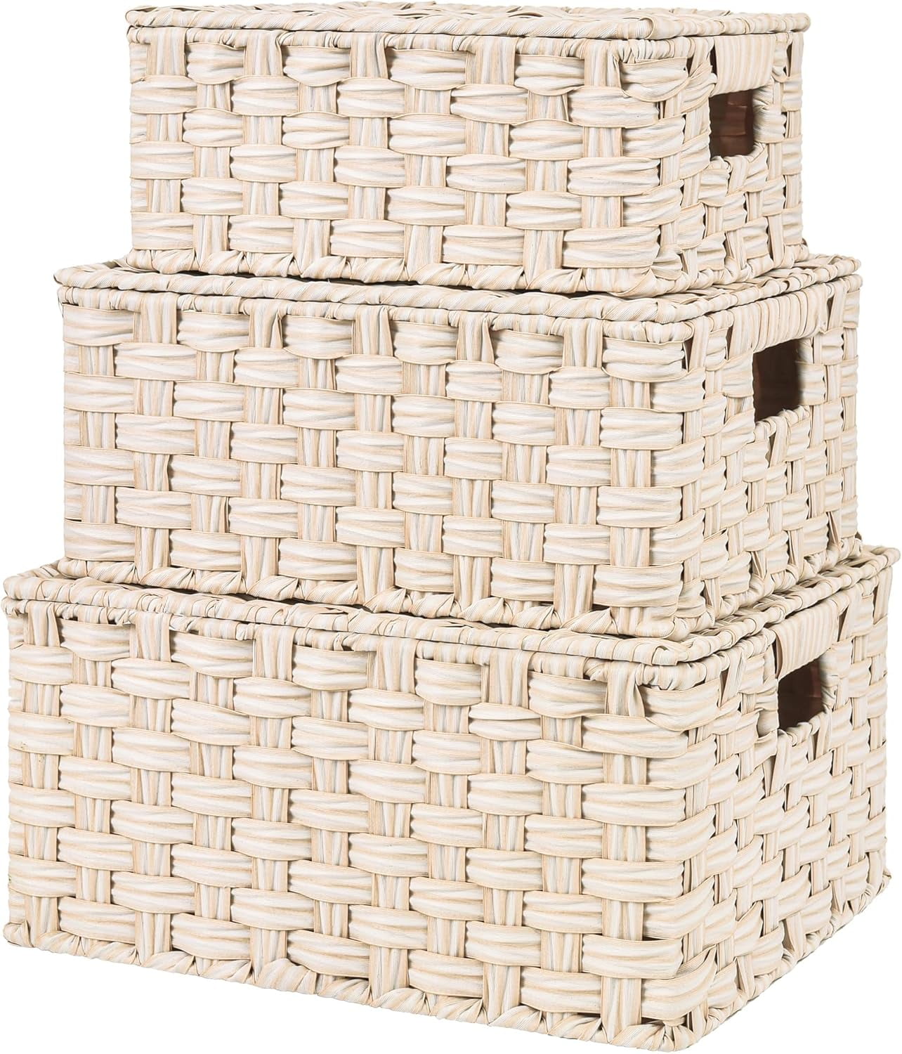 Wellsay Wicker Storage Baskets with Lids, Set of 3 Decorative Storage ...